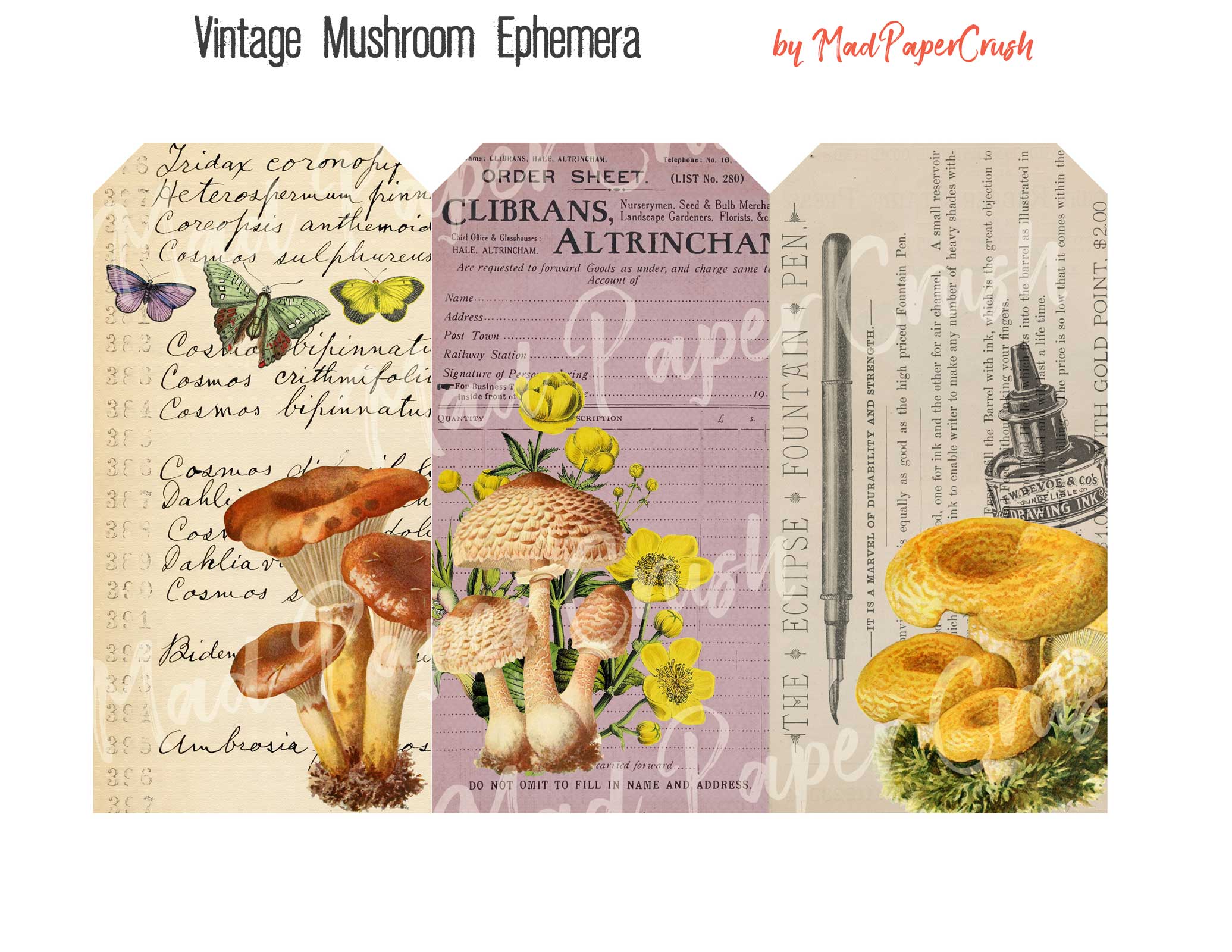 Art Discovery Tuesday - Fungus Amongus - Mad Paper Crush