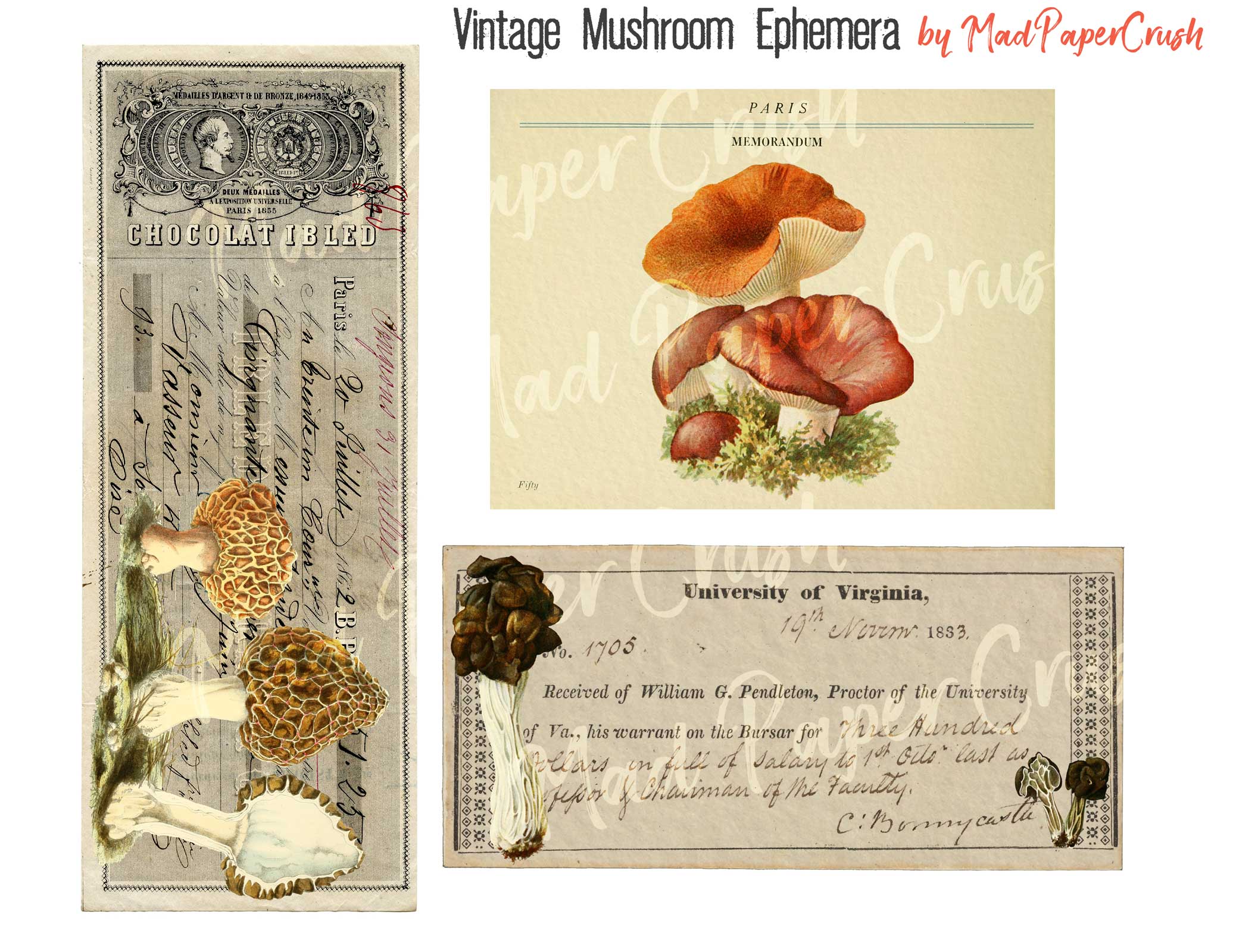 Art Discovery Tuesday - Fungus Amongus - Mad Paper Crush
