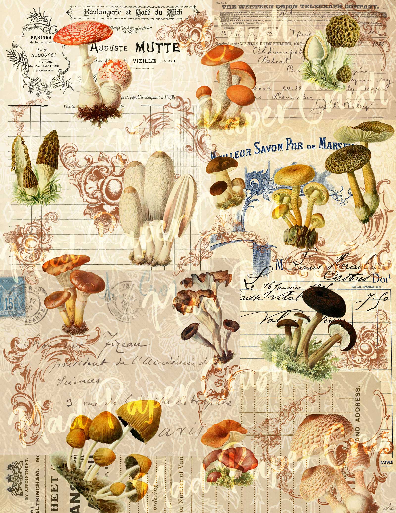 Art Discovery Tuesday - Fungus Amongus - Mad Paper Crush
